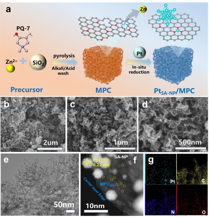 我院乔锦丽教授研究团队在质子交换膜燃料电池 领域取得最新研究成果