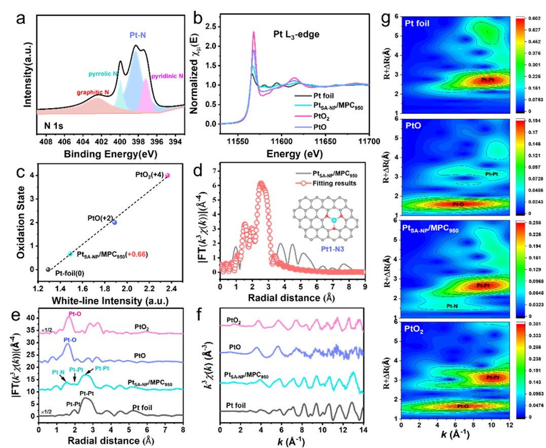 我院乔锦丽教授研究团队在质子交换膜燃料电池 领域取得最新研究成果